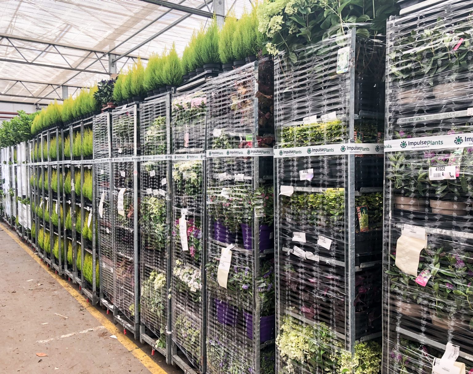 week 48 – Impulse Plants