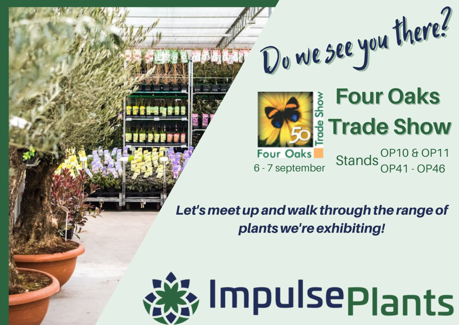 Impulse Plants – Imagine – Impress – Improve